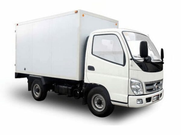 Small Cargo Truck | Pilotruck
